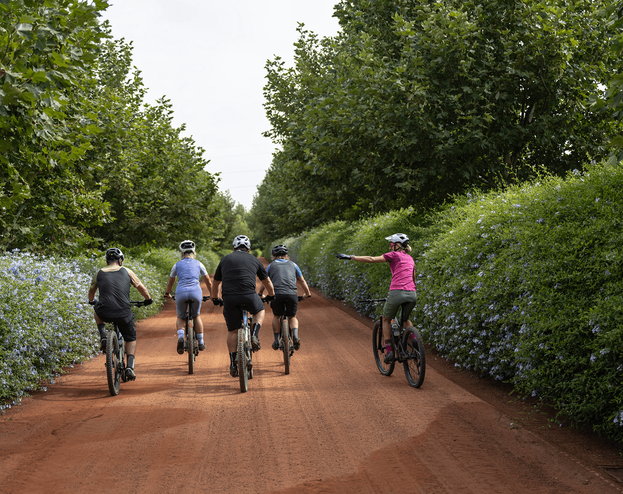 Services - Beyond Bike