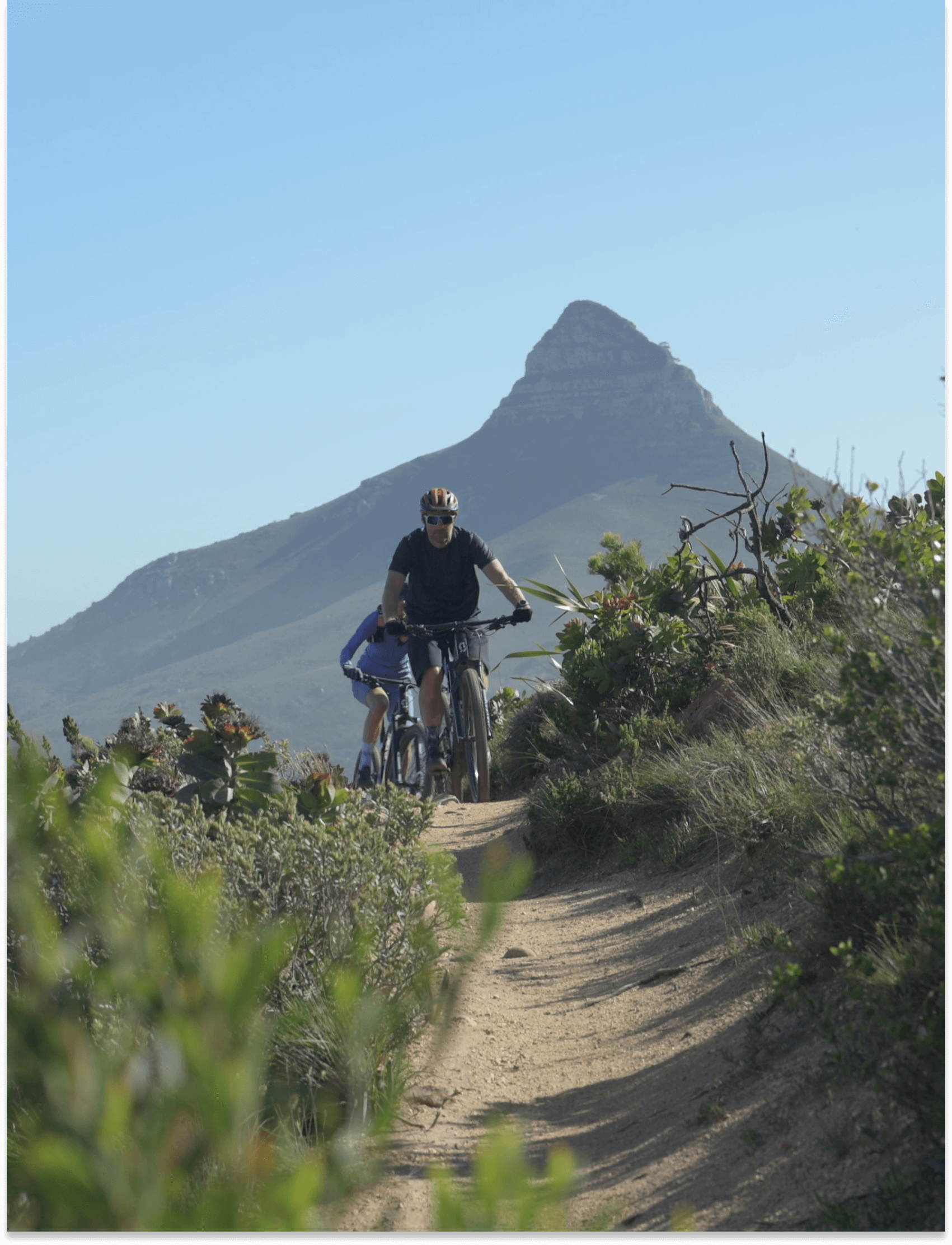 Services - Beyond Bike