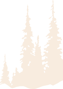 Contact Us - Beyond Bike